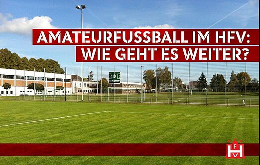 FC Elmshorn: Aktuelles